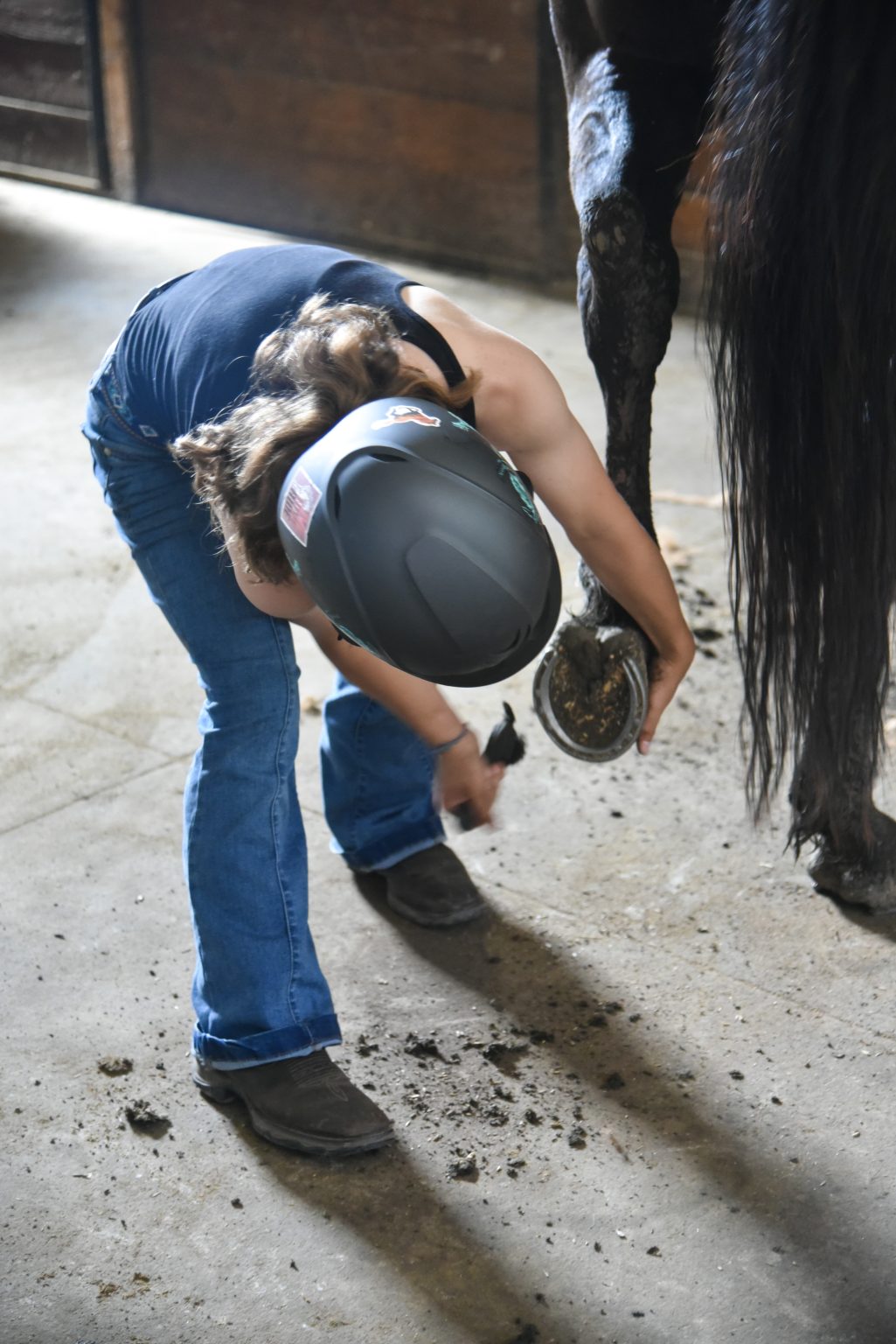 Lessons – Red Gate Riding